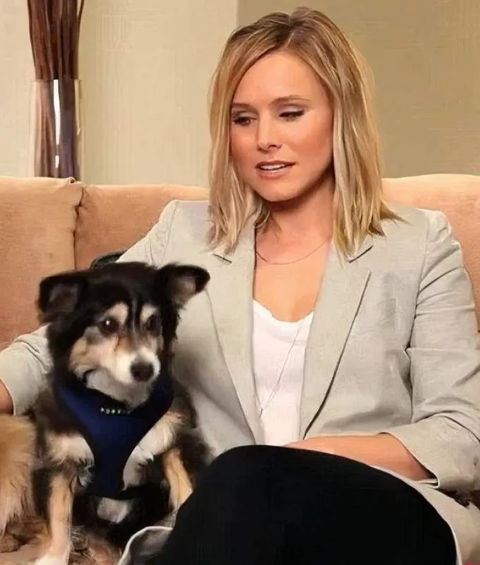 Kristen Bell Pets Celebrity Pets Kristen Bell Pets Celebrity Pets