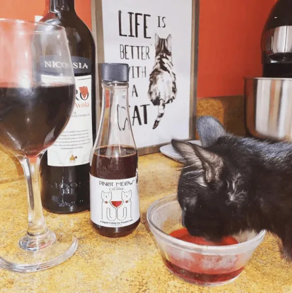 Cat Wine is a Thing Now and Your Cat Demands It - Celebrity Pets