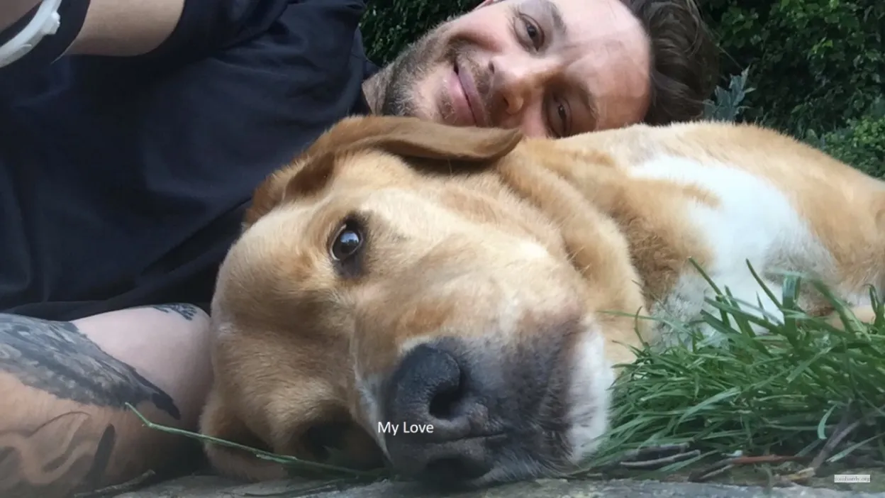 Tom Hardy writes heartfelt tribute to his dog Woody who just passed ...