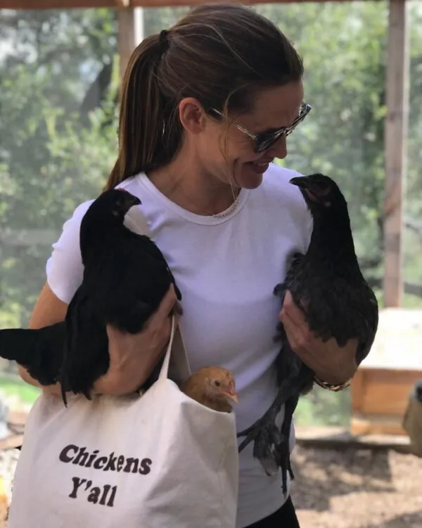 Jennifer Garner unleashes her inner mean girl: walks her chicken and ...