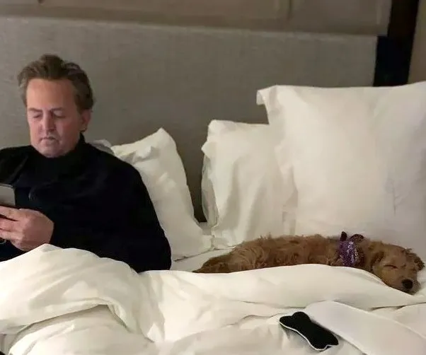Matthew Perry Pets - Celebrity Pets