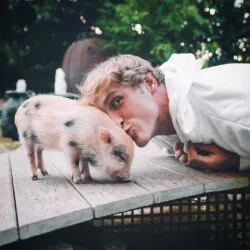 Logan Paul Pets - Celebrity Pets