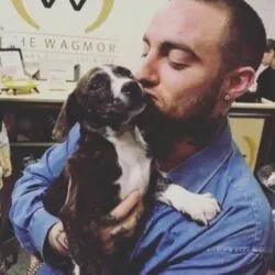 Ariana Grande Pets - Celebrity Pets
