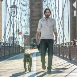 Keanu Reeves Pets - Celebrity Pets