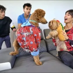Cyrus Dobre Pets - Celebrity Pets