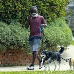 Don Cheadle Pets - Celebrity Pets