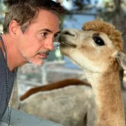 Robert Downey Jr. Pets - Celebrity Pets