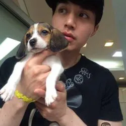 Lee Dong-Wook Pets - Celebrity Pets