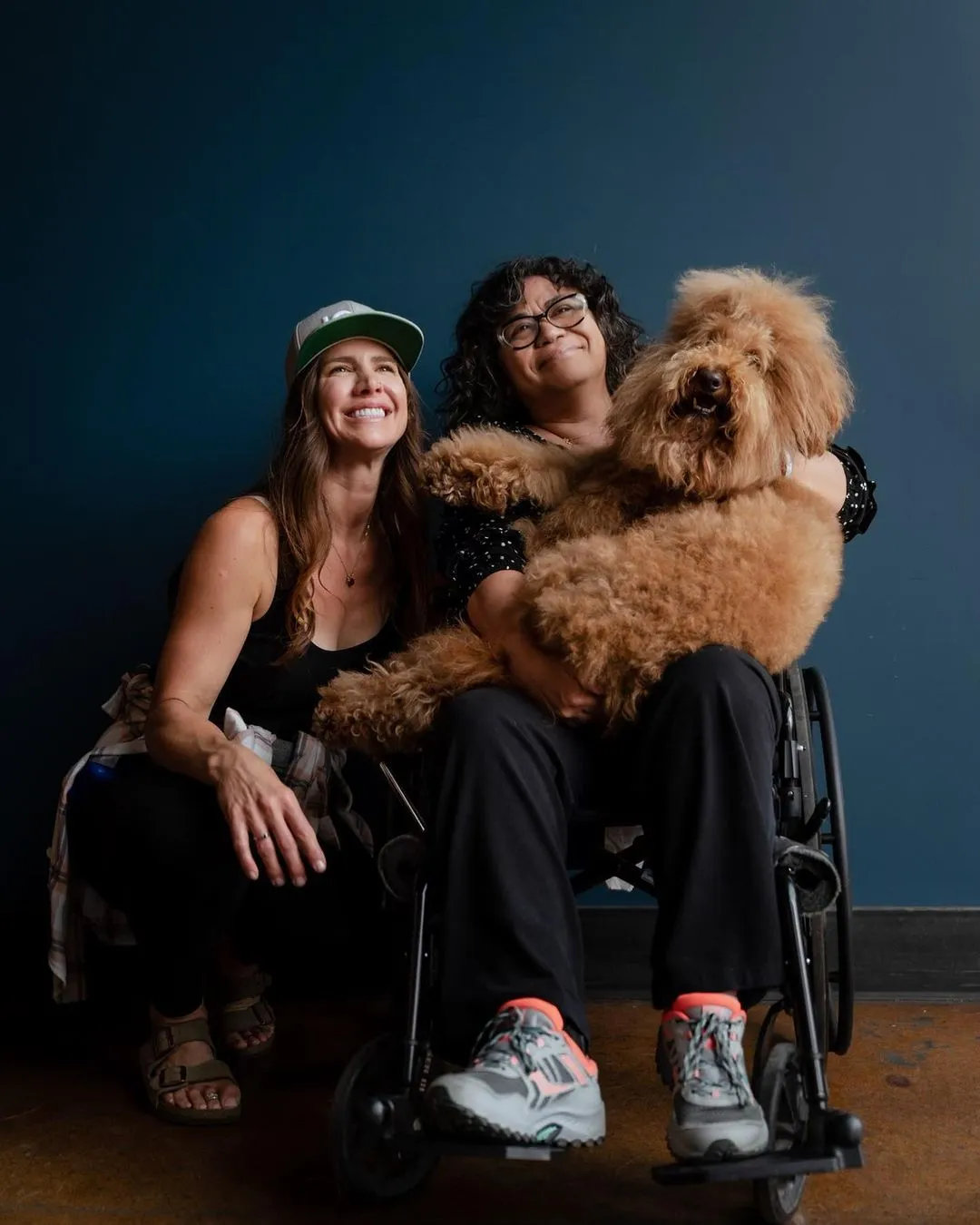 Josh the Doodle – Raising Awareness for Special Needs Dogs - Celebrity Pets