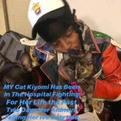 Ski Mask the Slump God Pets - Celebrity Pets