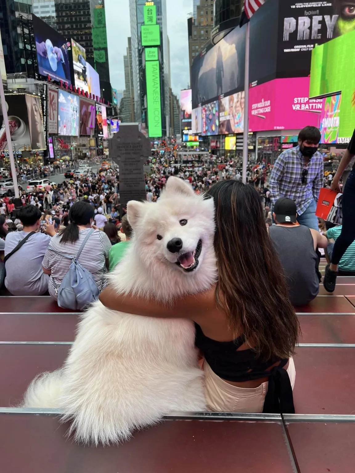 Boomer The Landcloud is One of the Most Recognizable Dogs of the Decade ...