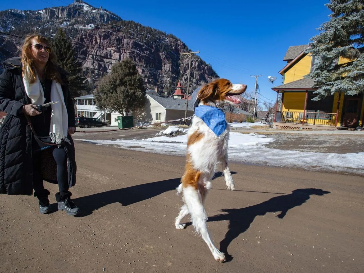 Dexter Dog Ouray Overcame Being Hit By a Car and Losing a Leg ...