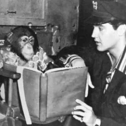 Elvis Presley Pets - Celebrity Pets