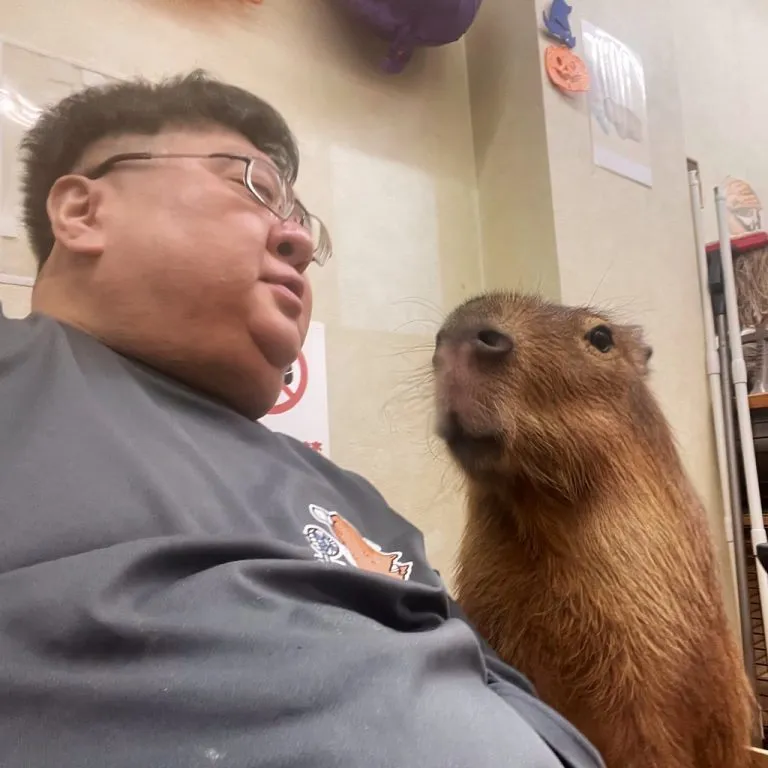 Capybaras, World’s Friendliest Animal, Friend to Humans, and Famous ...