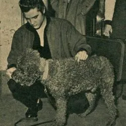 Elvis Presley Pets - Celebrity Pets