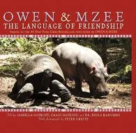 Owen the hippo and Mzee the tortoise: A one-of-a-kind friendship ...