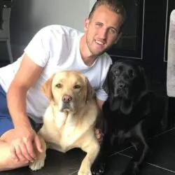 Harry Kane Pets - Celebrity Pets