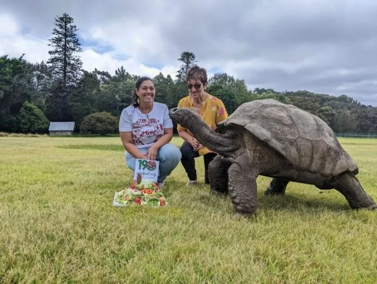 Happy 190th birthday to Jonathan the Tortoise – The world’s oldest land ...