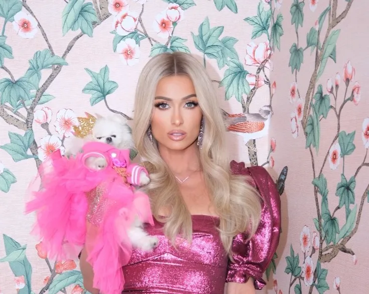 MetaPink: Paris Hilton finally launches a dog accessories collection ...