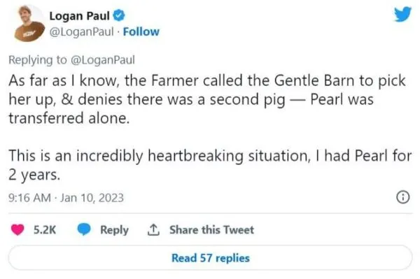 Logan Paul’s pig Pearl found abandoned and neglected, rescued by Gentle ...