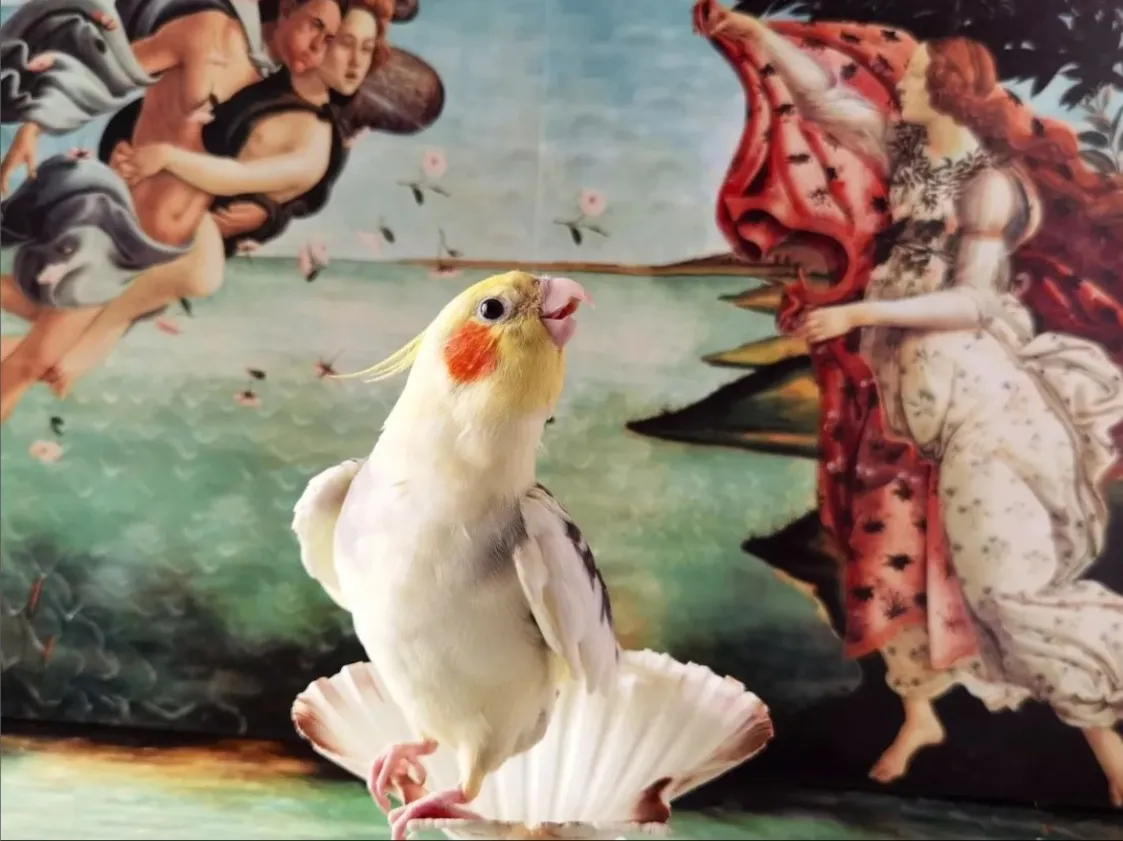 Meet Mr. Lubitsch, the opera-singing parrot - Celebrity Pets