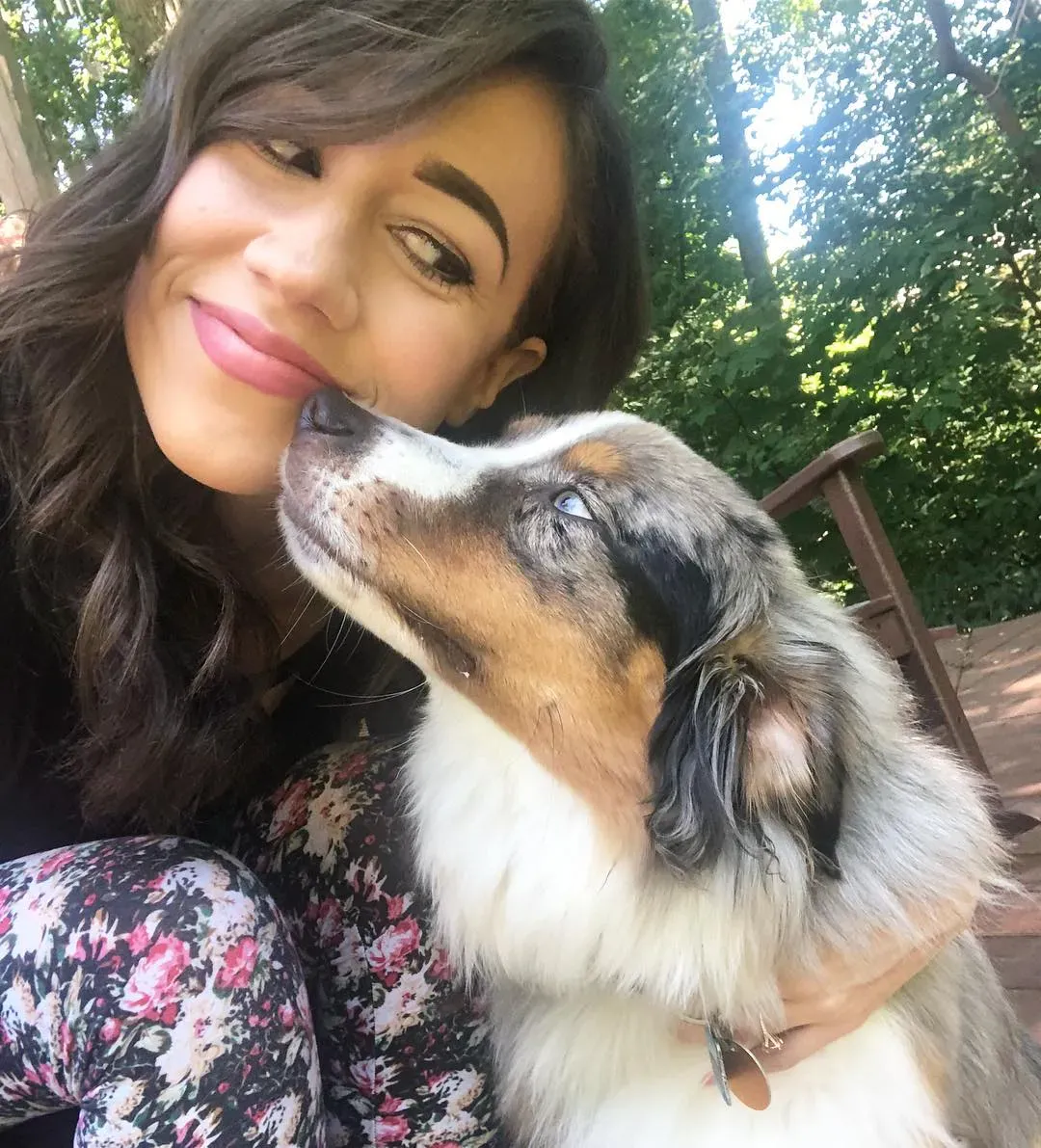 Colleen Ballinger Pets - Celebrity Pets