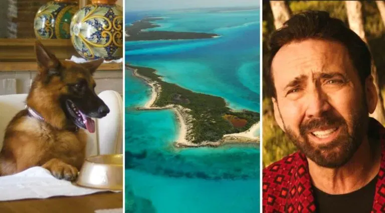 Gunther VI, World’s Richest Dog, Buys Nicolas Cage’s Private Island in ...
