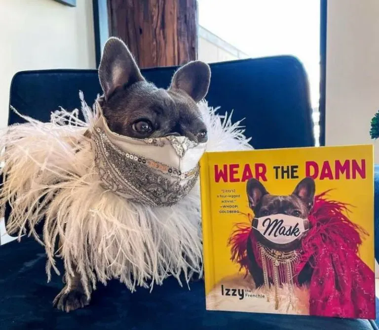 Izzy the Frenchie – Fashion Icon, Jewelry Designer, and Author ...