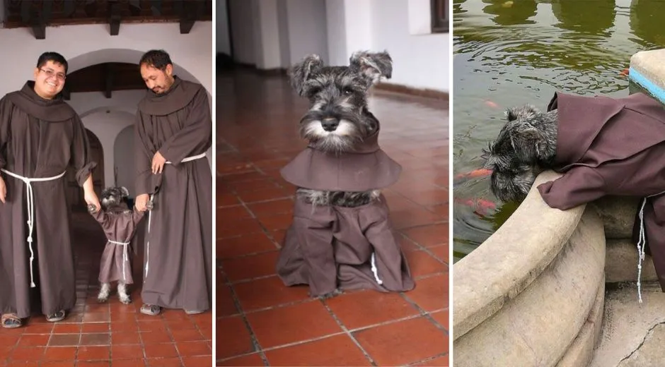 Friar Moustache the Doggy Monk Will Convince You to Join a Monastery ...