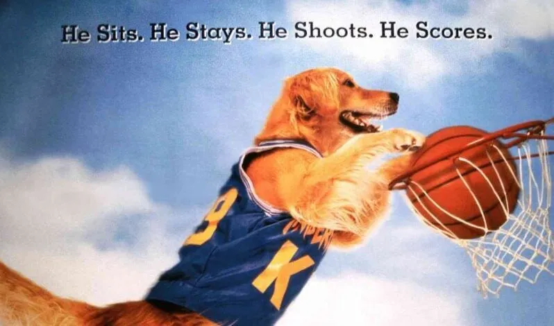 The Story of “Air Bud” and Buddy the Basketball-Playing Golden ...