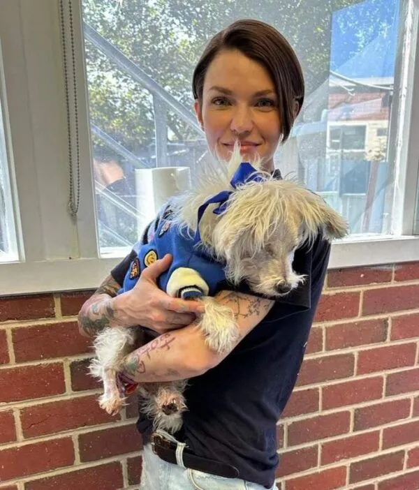 Dogs of John Wick: The Definitive Guide to the Dogs of the Films and ...