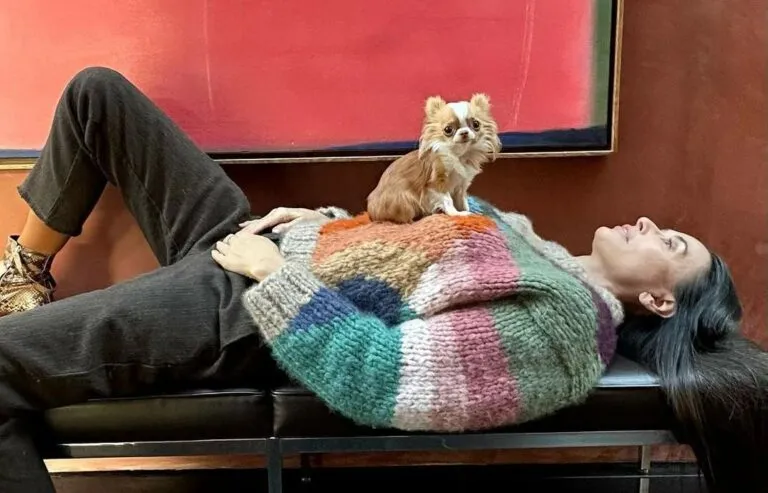 Demi Moore’s Dog Pilaf Wants to Beat the Guinness World Record for ...