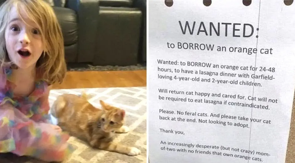 Mom’s Poster Looking to Borrow a Garfield Lookalike Cat for Her ...