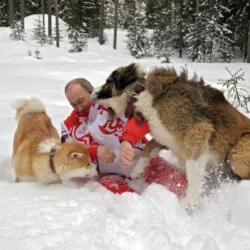 Vladimir Putin Pets - Celebrity Pets