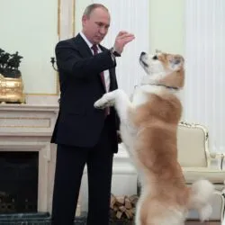 Vladimir Putin Pets - Celebrity Pets
