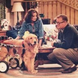 Drew Carey Pets - Celebrity Pets