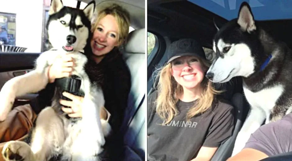 Theranos Founder Elizabeth Holmes’ Claimed Her Husky Balto Was a “Wolf ...
