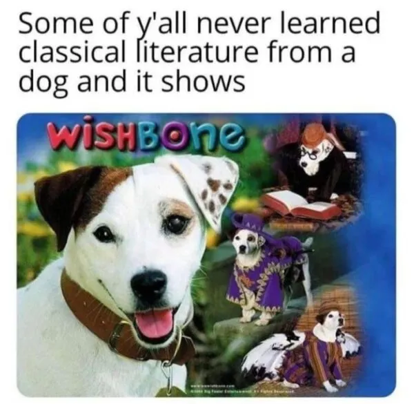 The Story of Soccer, the Dog Actor That Played Wishbone - Celebrity Pets
