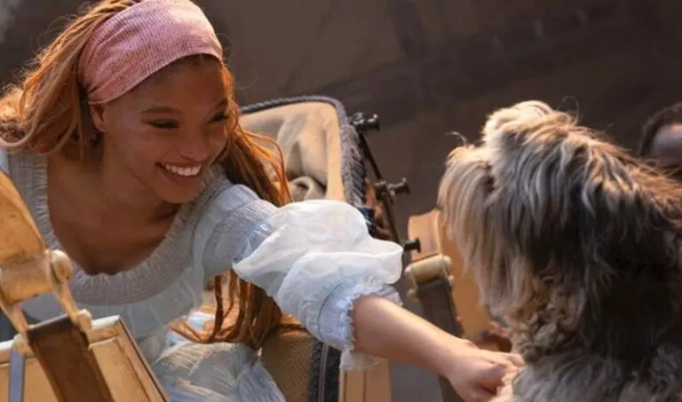 The Little Mermaid 2023: Meet the Pets of the Cast - Celebrity Pets