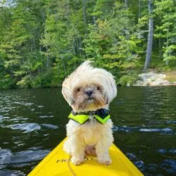 Ada-Nicole Sanger Pets - Celebrity Pets