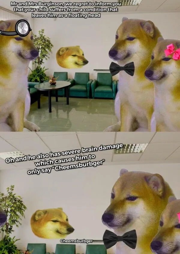 Cheems Balltze, the Shiba Inu and Viral Meme Doge, Passed Away During Surgery - Celebrity Pets