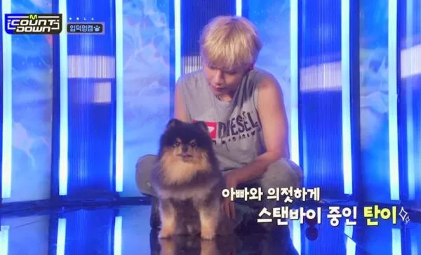 BTS V’s (Kim Taehyung) Dog Yeontan Becomes the First K-Pop Pet To Have ...