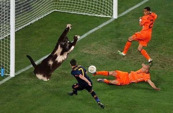 GoalKitty Waves Her Hands in the Air Like She Just Doesn’t Care ...