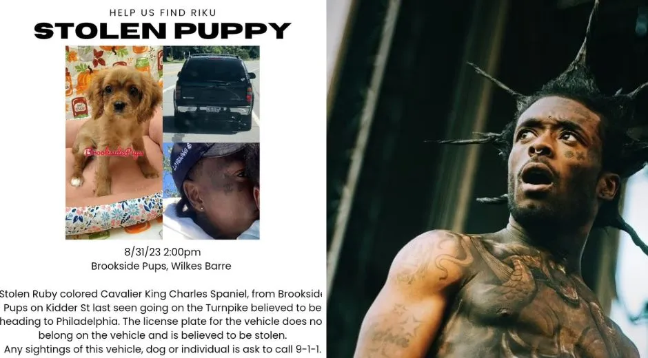 Rapper Lil Uzi Vert Accused of Stealing a Puppy from a Pet Store ...