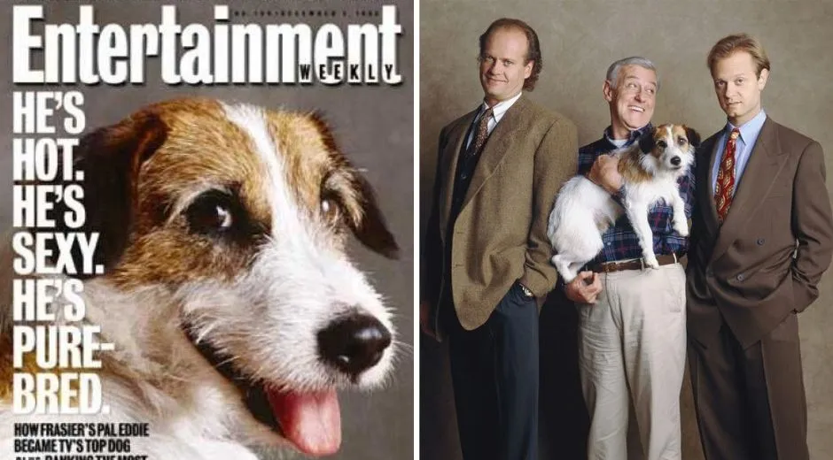 The Story of Moose, the Rescue Dog Who Played Eddie on “Frasier” – From ...