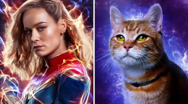Meet Tango, the Feline Actor Who Plays Goose the Cat in ‘The Marvels ...