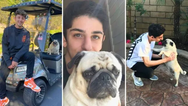 YouTube Star Faze Rug Pays Tribute to Bosley, His Beloved Pug Who ...