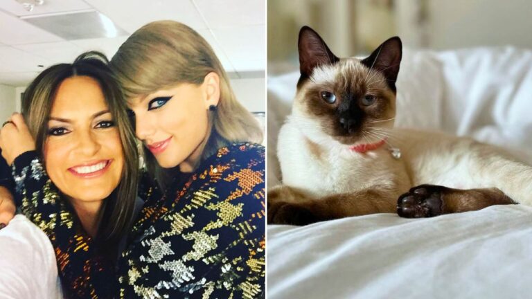 Actress Mariska Hargitay Names Her Cat After a Taylor Swift Song – And ... Actress Mariska Hargitay Names Her Cat After a Taylor Swift Song – And ...