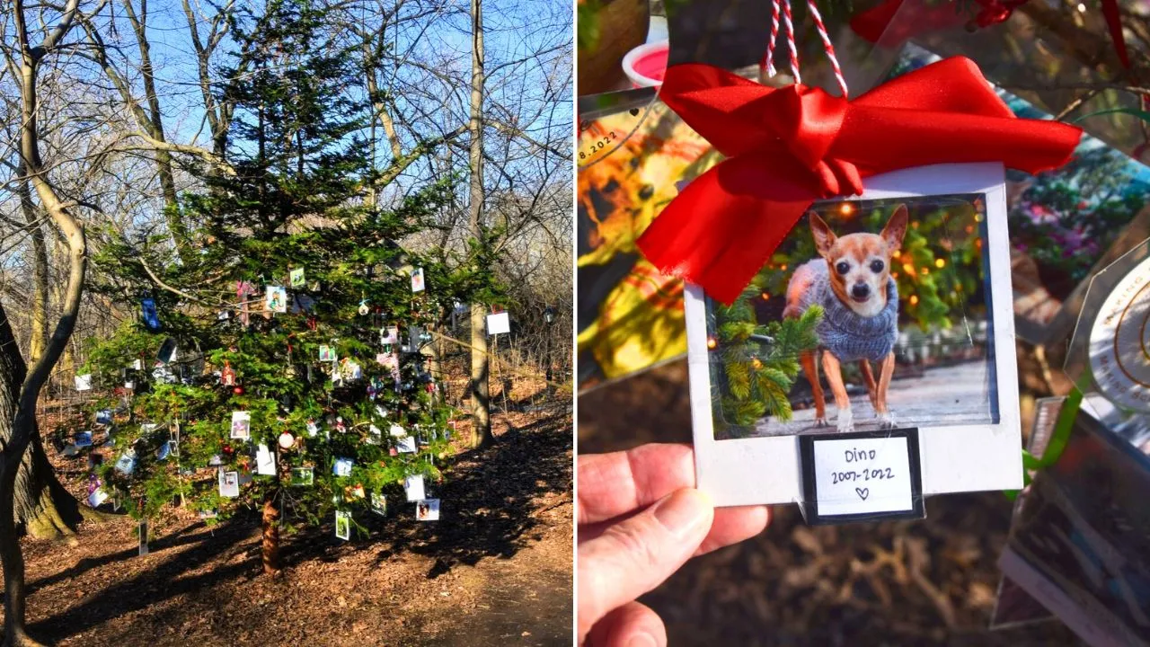 The Furever Tree: A Pet Memorial Christmas Tree Hidden in New York’s ...