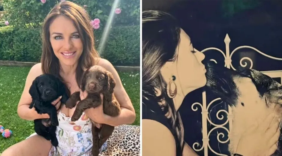 Elizabeth Hurley’s First Dog, Nico, Was a Rescue She Helped Recover ...
